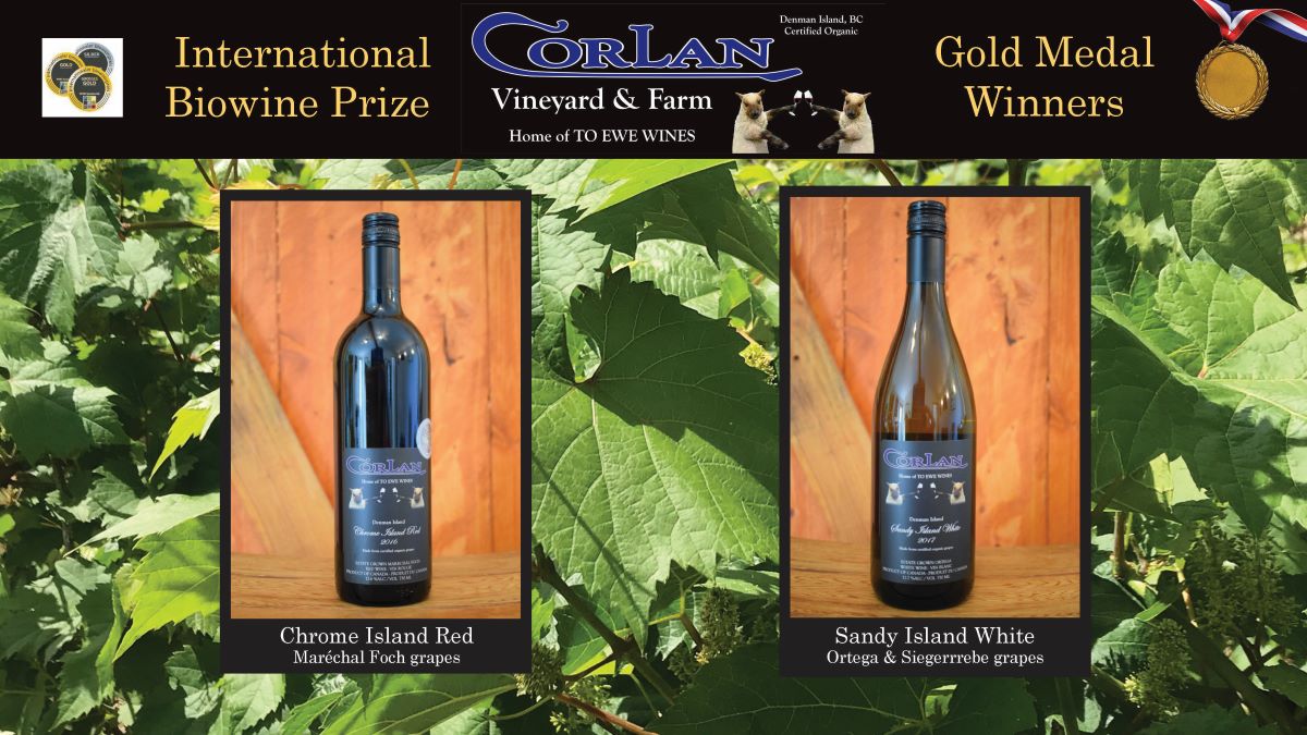 The Smallest Organic Vineyard Around Has Done it Again! – Corlan